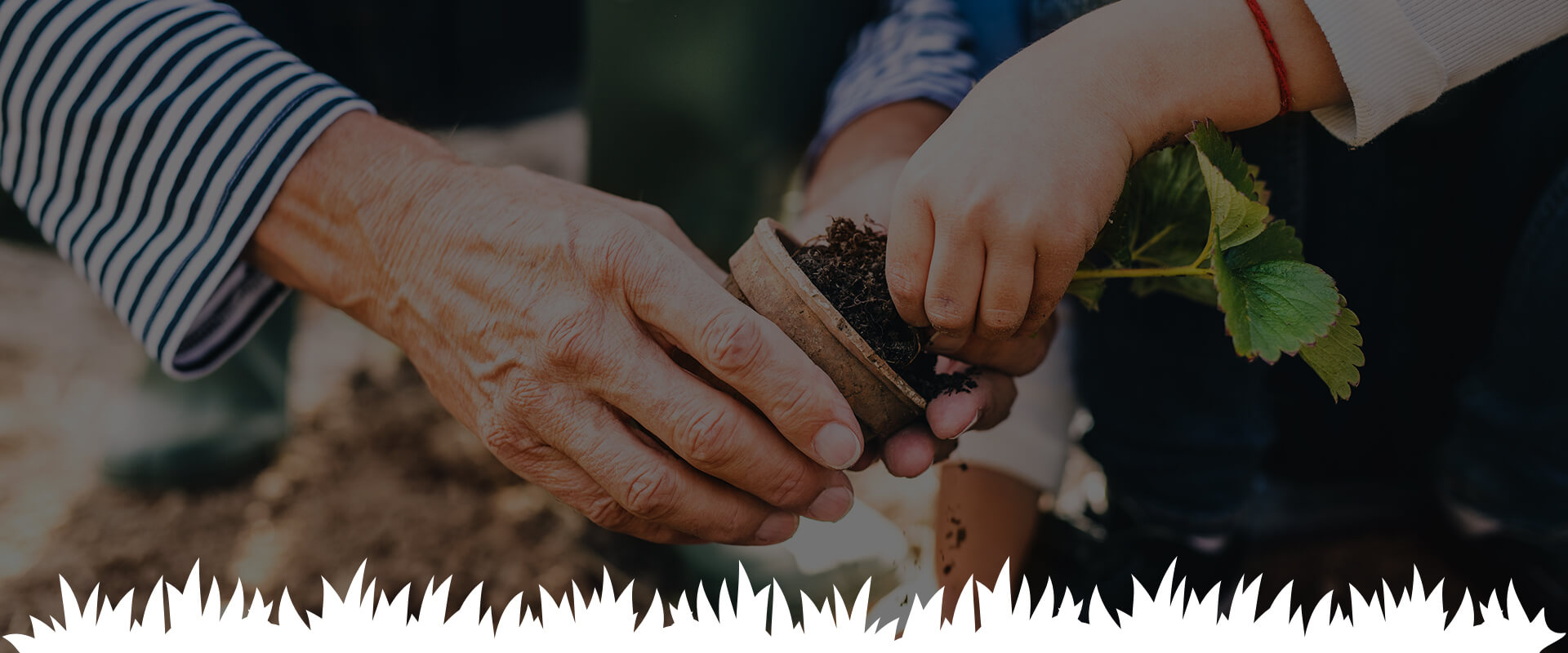 Le Pouce Vert – Le Pouce Vert